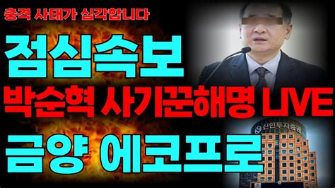 긴 급 속 보 🚨금양 에코프로 박순혁작가 폭락 사기꾼 긴급해명live 2차전지 에코프로 에코프로비엠 에코프로머티 포스코홀딩스