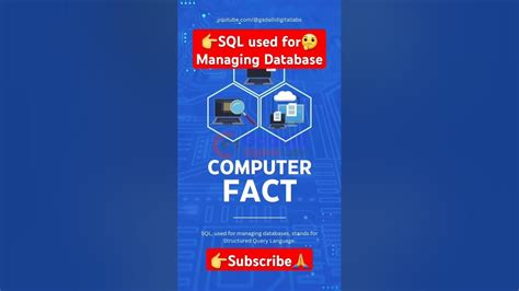 Sql Used For Managing Database Shorts Computerfacts Youtube