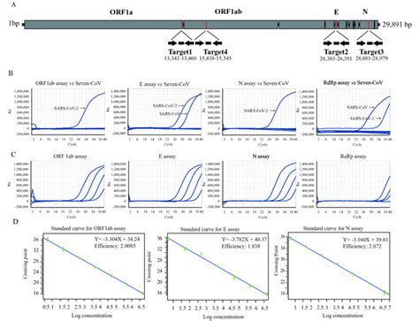 Development Of Three Rrt Pcr Assays For Detection Of Sars Cov 2 A Download Scientific
