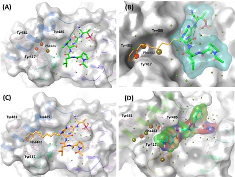 Figure 17 From Leveraging The Fragment Molecular Orbital Method To Explore The Plk1 Kinase
