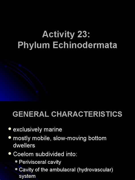 Activity 23 Phylum Echinoderm At A Pdf Organisms Science