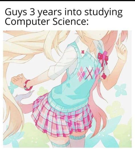 Experienced Programmercomputer Scientist Rfemboymemes