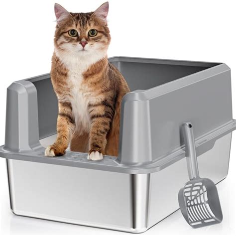 ארגזי חול סטנדרטיים חתולים שמחים