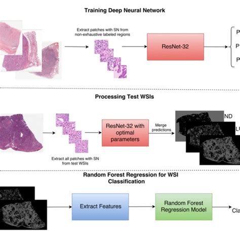 Overview Of The Nsclc Classification Framework A Workflow For Download Scientific Diagram