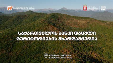 საქართველოს ბანკი დაცული ტერიტორიების მხარდამჭერია Netgazeti • დაცული ტერიტორიები