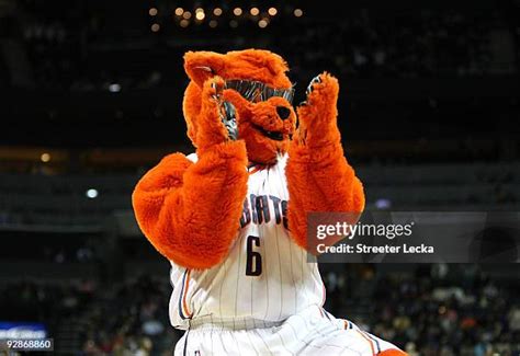 Rufus Charlotte Bobcats Mascot Photos And Premium High Res Pictures
