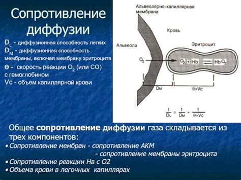 Диффузионные мембраны и причины их популярности