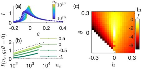 Shannon Mutual Information For Identical Cells A Shannon Mutual