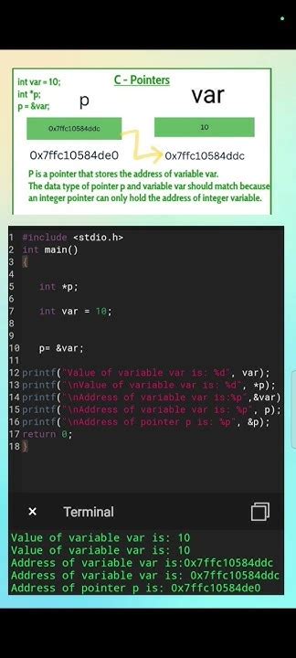 Pointer In C Program 💯 Viral Coding Programming Youtube