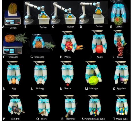 Vspp 3 Gripper Grasping Performance And Grasping System Realization