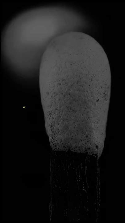 Time Is More Powerful Than You Viral Motivation Video Youtube