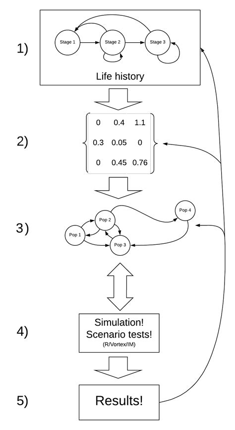Pva Model Input Diagrams Solved Pva Does Not Follow The Flo