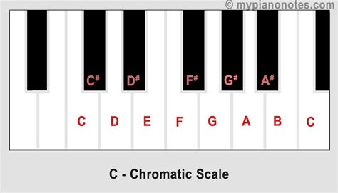 Scale In The Piano At Juan Harrell Blog