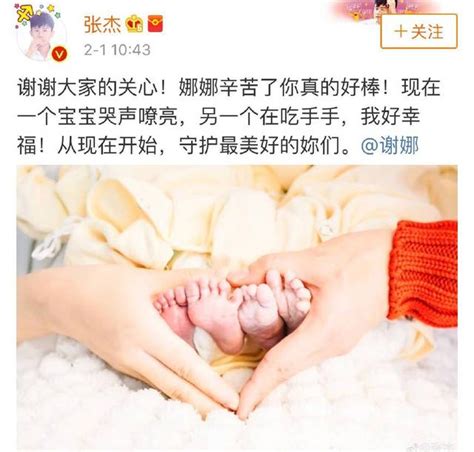 恭喜！謝娜生了一對雙胞胎女兒，張杰當爸爸，朋友們紛紛送上祝福 每日頭條