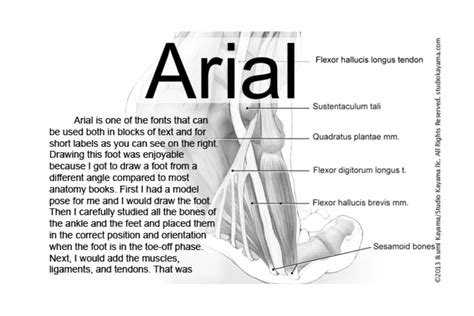 How To Create Your Own Font Step By Step Guide To Create Your Own Fonts