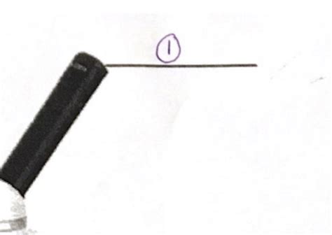Microscope Parts Flashcards Quizlet