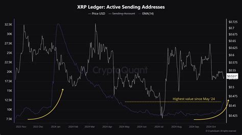 Xrp Active Sending Addresses Reaches A 6 Month High 🔥 Cryptoquant