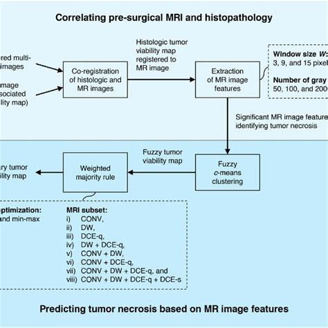 Image Processing Workflow For Correlating Mri With Histopathology And