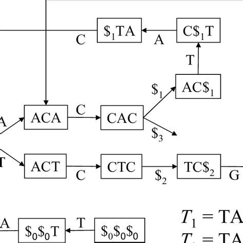 The 3 Dimensional De Bruijn Graph Of Strings Tacac Tactc And