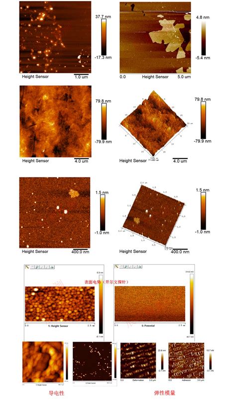 原子力显微镜测量图片 原子力显微镜图片分析 原子力显微镜图像 大山谷图库