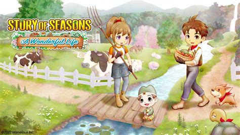 Harvest Moon A Wonderful Life Map