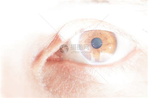 眼科检查中的老年白内障特写高清图片下载 正版图片504859876 摄图网