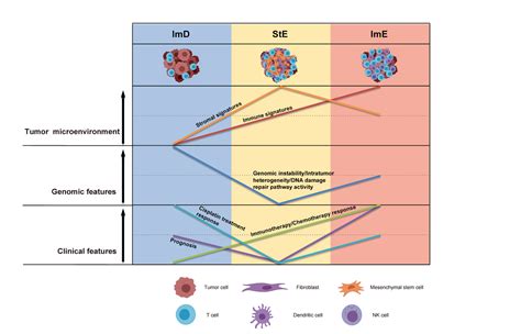 Identification Of Gastric Cancer Subtypes Based On Pathway Clustering