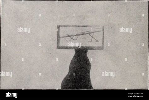 Refractive Index Hi Res Stock Photography And Images Alamy