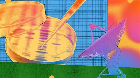 Cyberace Corp On Linkedin Infosec Cybersec Cybernews Cyberace 0day Hacking Bugbounty