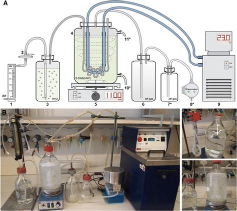 Schematic Diagram And Photos Of The SSB System Schematic Diagram Of Download Scientific