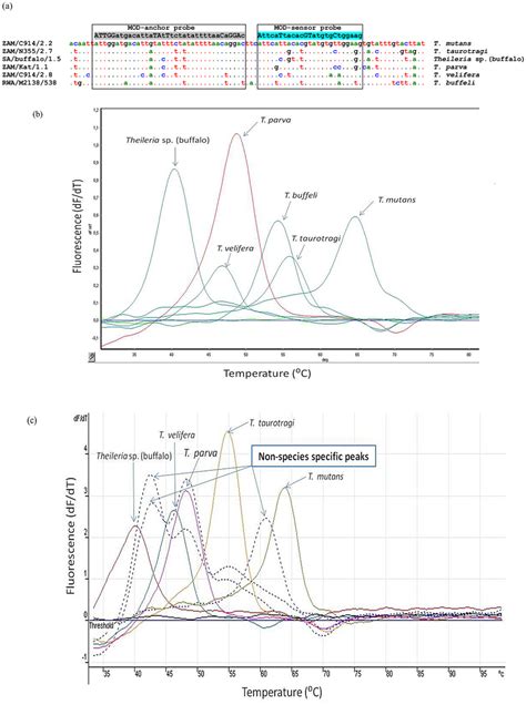 Sequence Alignment And Melting Curve Analysis Of The Plasmid Controls