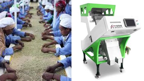 Agricultural Equipments Coffee Beans Sorting Machine Cocoa Bean Color Sorter Buy Cocoa Bean
