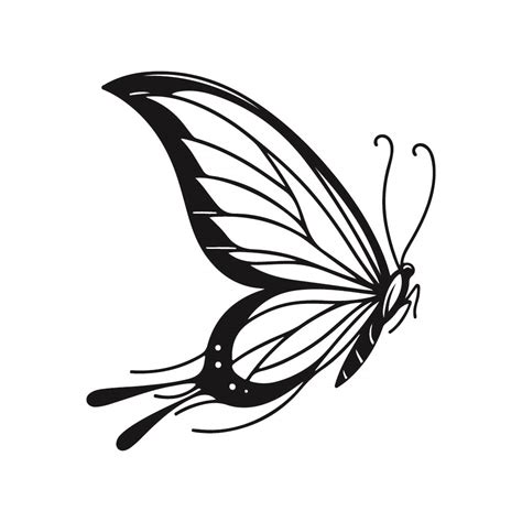 Free Tailed Jay Butterfly Svg Butterfly Tattoo Design Black And White
