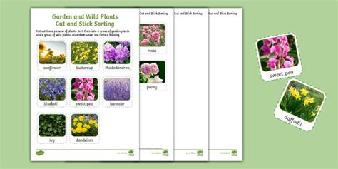 Garden And Wild Plants Cut And Stick Sorting Activity Twinkl