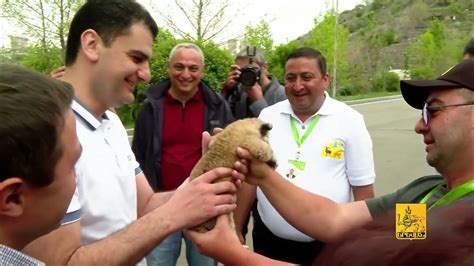 Նոր բարեփոխումներ և նոր լուծումներ՝ կենդանաբանական այգում Youtube