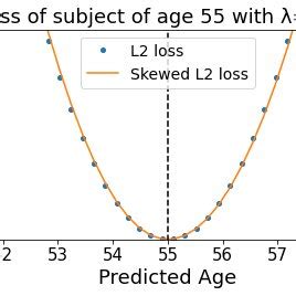 L1 And L2 Skewed Loss Function Illustration For Each Plot The Dotted