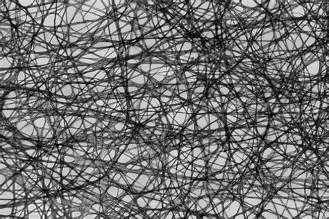Paper Under A Microscope Procedures Observations And Discussion