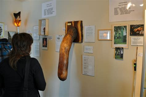 So There Is A Penis Museum In Iceland Album On Imgur