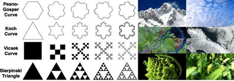 Examples Of Synthetic And Real Fractals With Exact Or Statistical Download Scientific Diagram