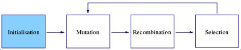 Displaying The Iterative Process Of Mutation Recombination And