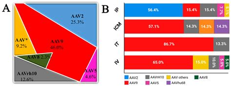 Biomedicines Free Full Text Recombinant Adeno Associated Virus Vectors For Gene Therapy Of