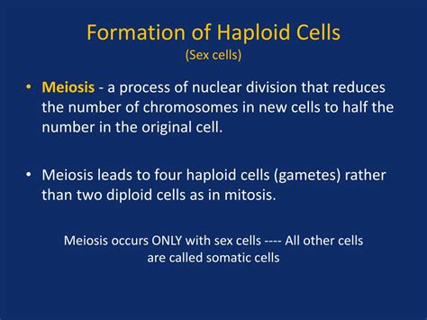 Ppt Reproduction Of Cells Powerpoint Presentation Free Download Id
