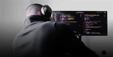 Bug Vs Vulnerability Whats The Difference Vizst Technology