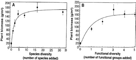 4 Productivity Dependence On Plant Species And Functional Diversity