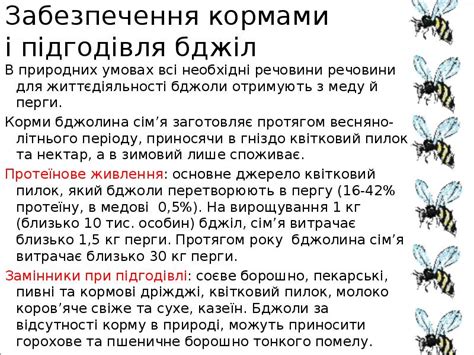 Утримання бджолиних сімей