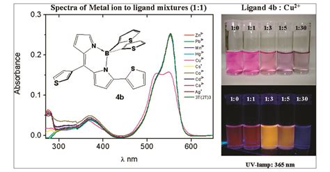 Cu2 Colorimetric Sensing And Fluorescence Enhancement And Hg2 Fluorescence Diminution In