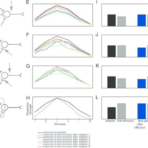 Example Local Field Potential Lfp And Spike Records Vs Contrast Lfp Download Scientific