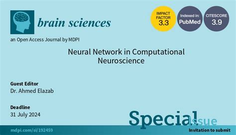 New Special Issue Neural Network In Computational Neuroscience Brain Sciences Mdpi Posted On
