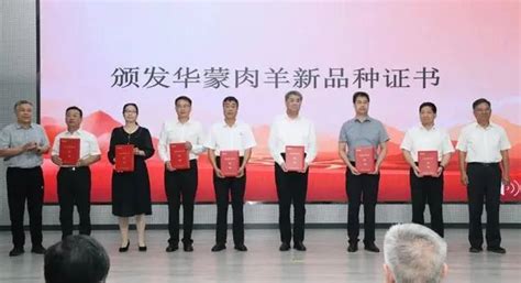 我院参加华蒙肉羊新品种成果推介会暨《2024—2030年巴彦淖尔肉羊产业战略发展规划》论证会 河套学院科技处