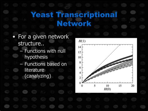 Ppt Modeling Genetic Network Boolean Network Powerpoint Presentation